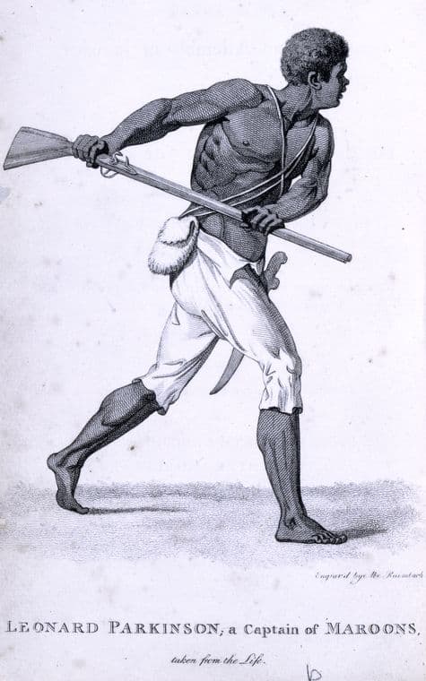Maroon Societies and Autonomous Black Communities | AP... | Fiveable